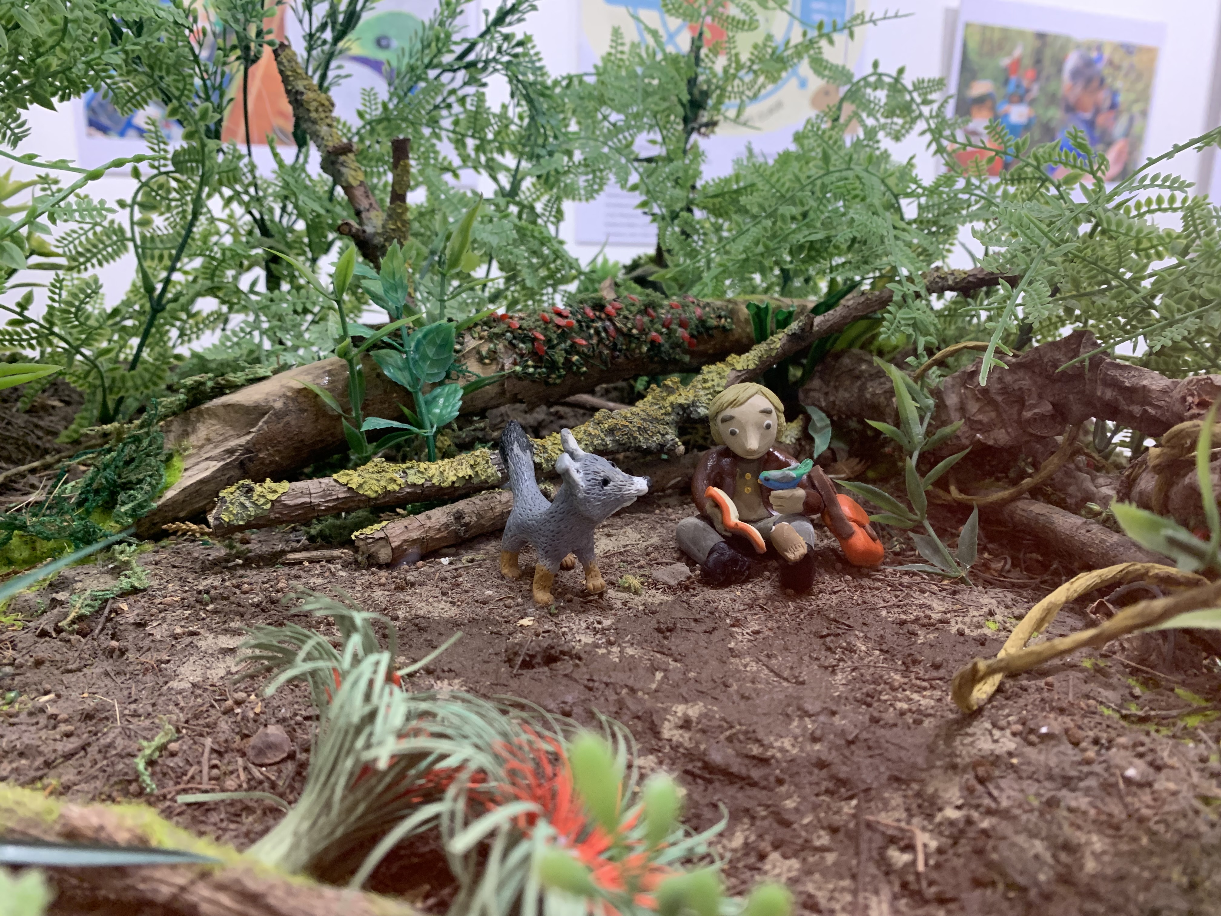 Exposición y actividades en el Museo relevarán paso del naturalista ...