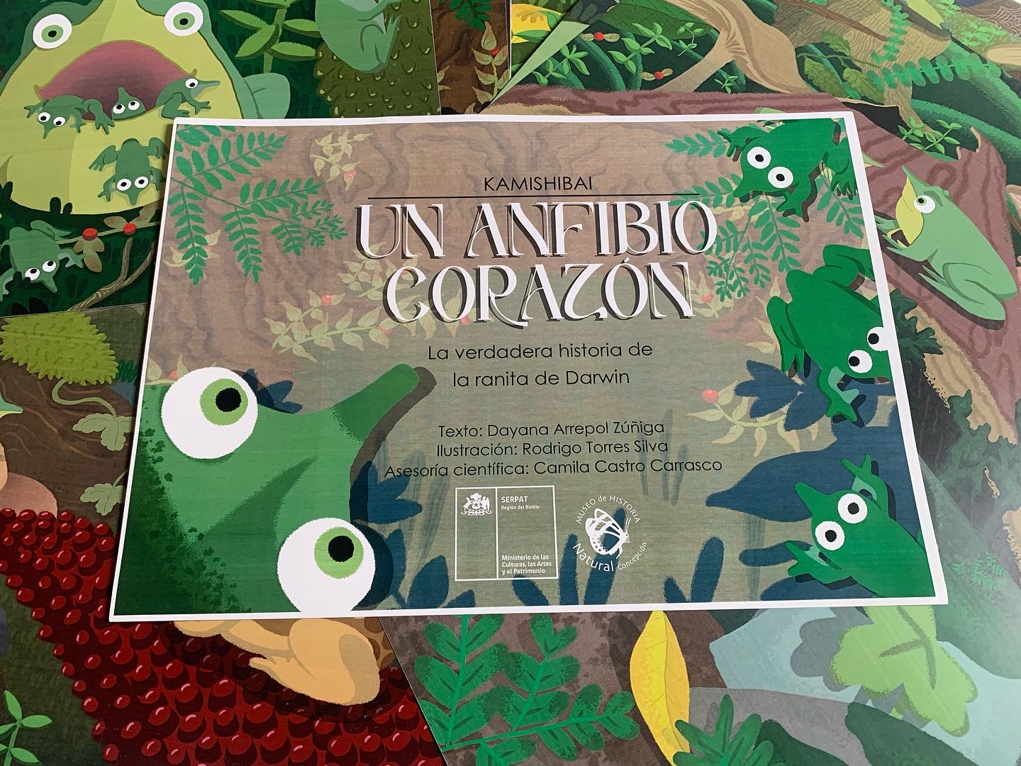 Ranita de Darwin y su increíble instinto paternal protagonizan nuevo ...