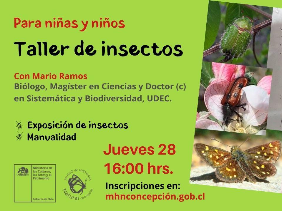 Taller para niñas y niños "La vida secreta de los insectos" | Museo de ...