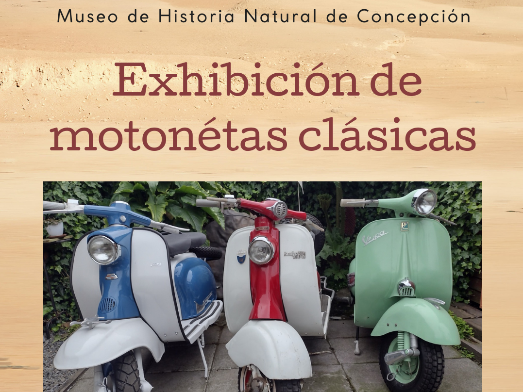 Exhibición "Motonetas clásicas de Concepción" | Museo de Historia ...